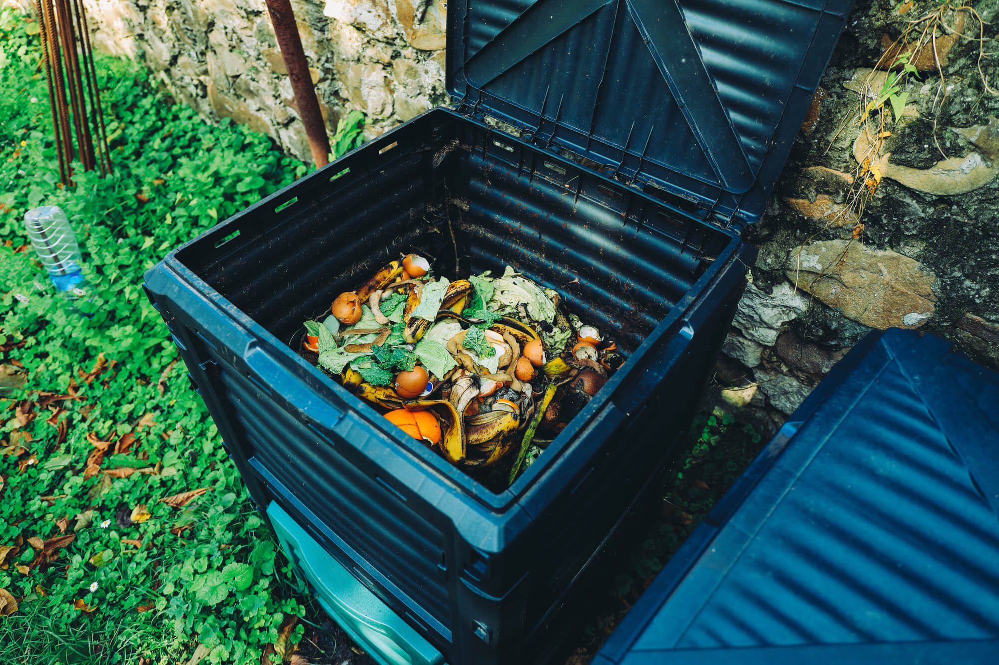 Embrace Composting and Maximize Garbage Disposal Efficiency